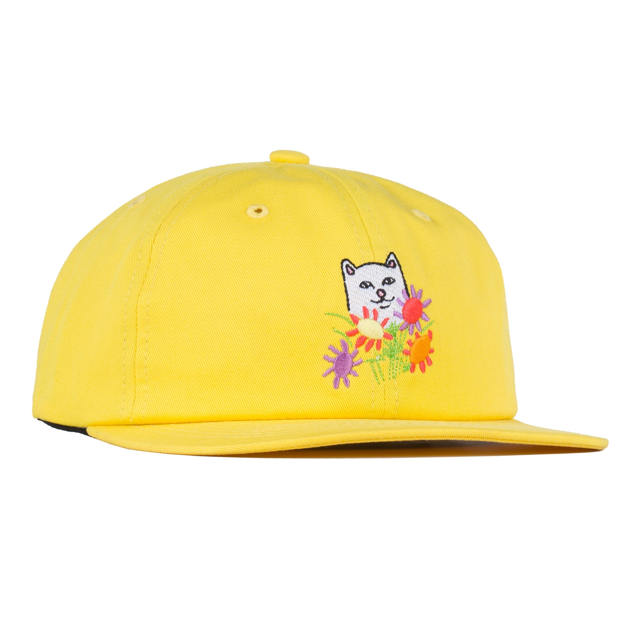 6 Panels RIPNDIP MX